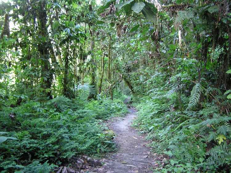 Mandor Waterfalls; Peru album | stormbird | Fotki.com, photo and video ...