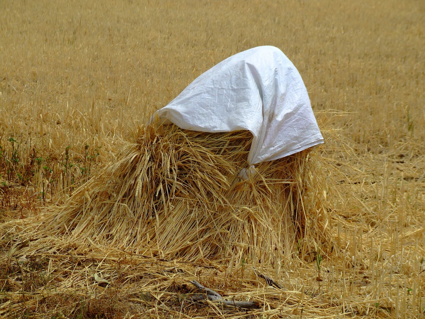 Hay Stooks album | ooO(PETER)Ooo | Fotki.com, photo and video sharing ...