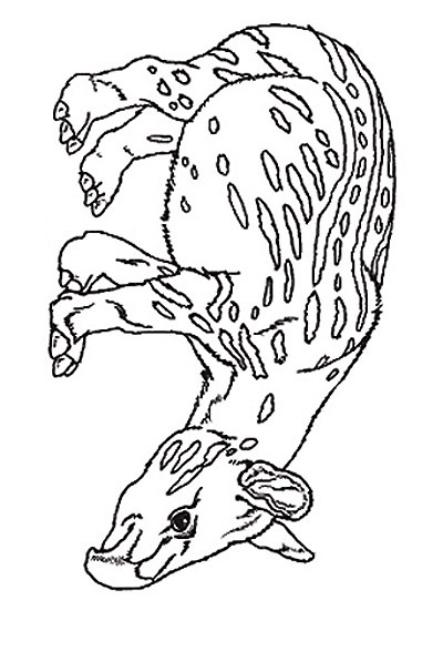 Photo: umbrella coloring tapir | Jan Bretts coloring pages album ...