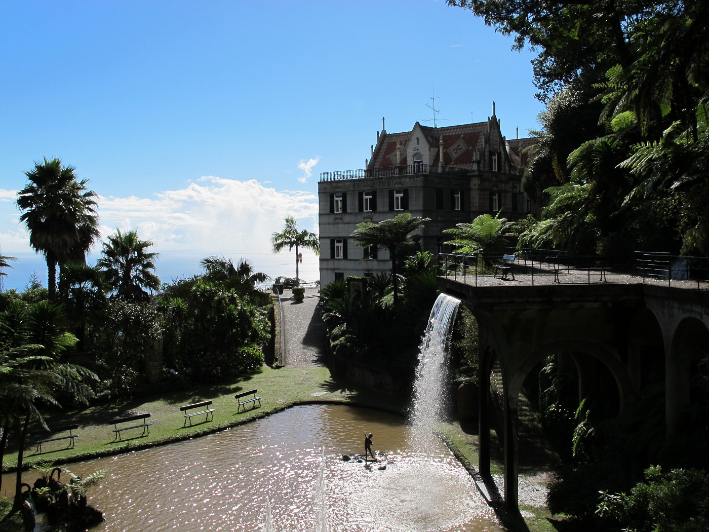 Photo: madeira 730 | botanische tuin album | gert | Fotki.com, photo ...