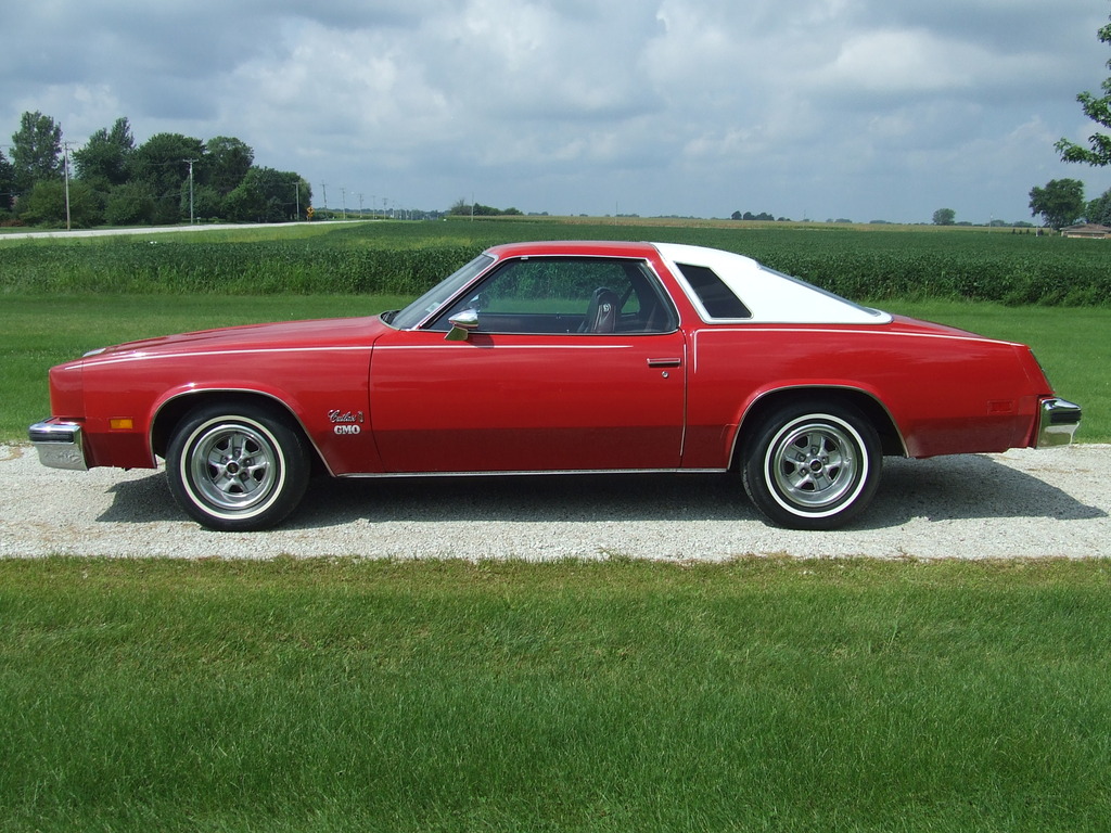 Photo: 76 gmo8 | GMO album | mrblackwell17 | Fotki.com, photo and video ...