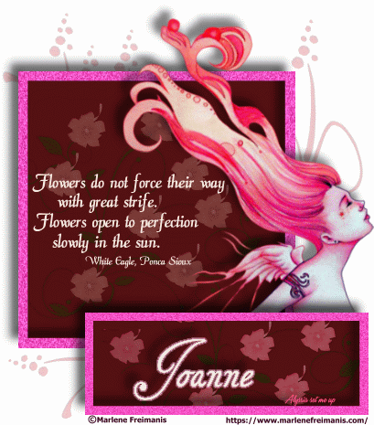 Photo: Joanne NoStrf MarF Alyssia | No Strife ©Marlene Freimanis album ...