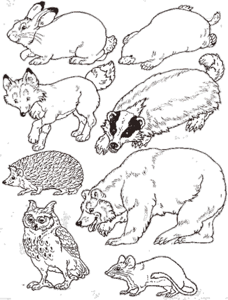 the mitten animals coloring page