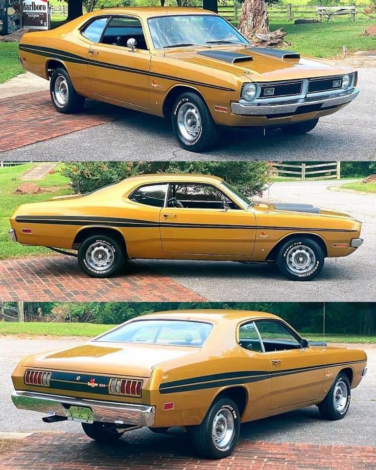 Aztec Gold Metallic *PICs*