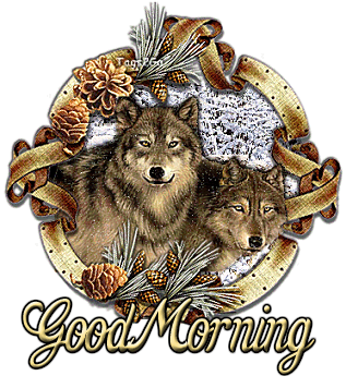 2 wolves album | BumbleBee & LadyBug's Garden | Fotki.com, photo and ...