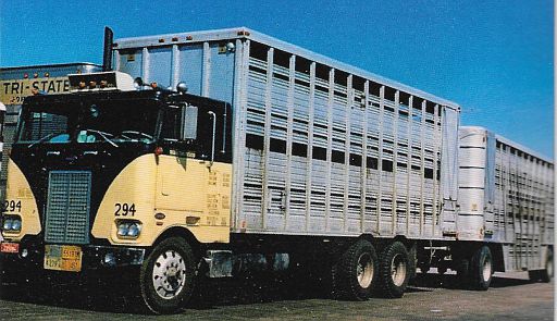 Wagner Transportation Co - Peterbilt 352 and Wilson Trailer Co body ...