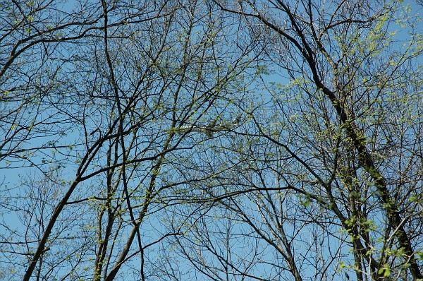 American Airlines Flight 383 Crash Site Hikes album | Rollie Puterbaugh ...