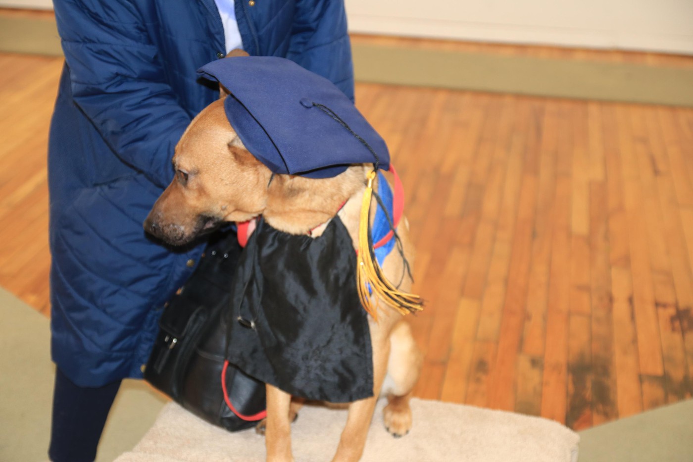 Photo: 2024-02-15 Graduation T2 (12) | Ringwood 2024-02-15 T2 album ...