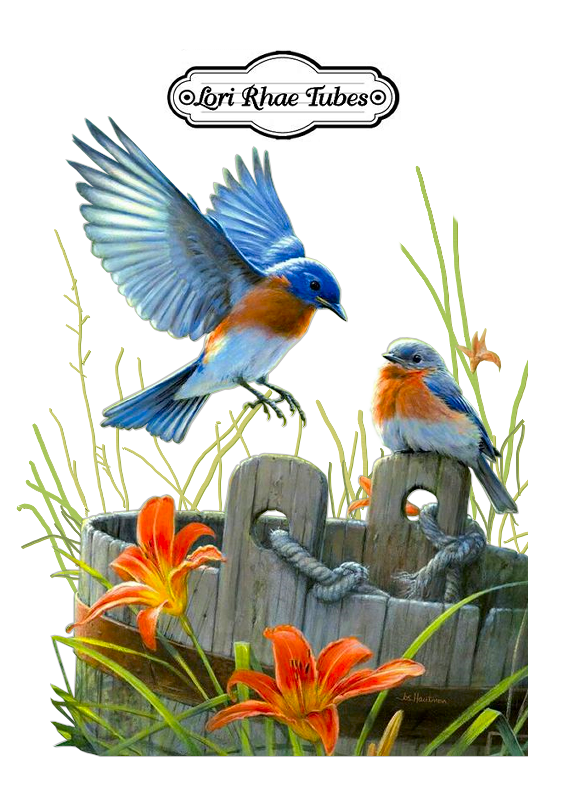 Lori Rhae album | Jossie | Fotki.com, photo and video sharing made easy.