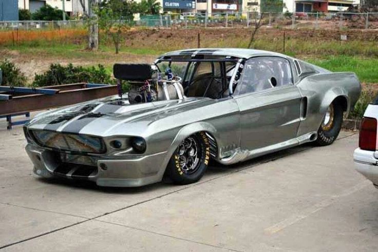 Photo: Stang | FORD MUSTANGS album | LOUD-PEDAL | Fotki.com, photo and ...
