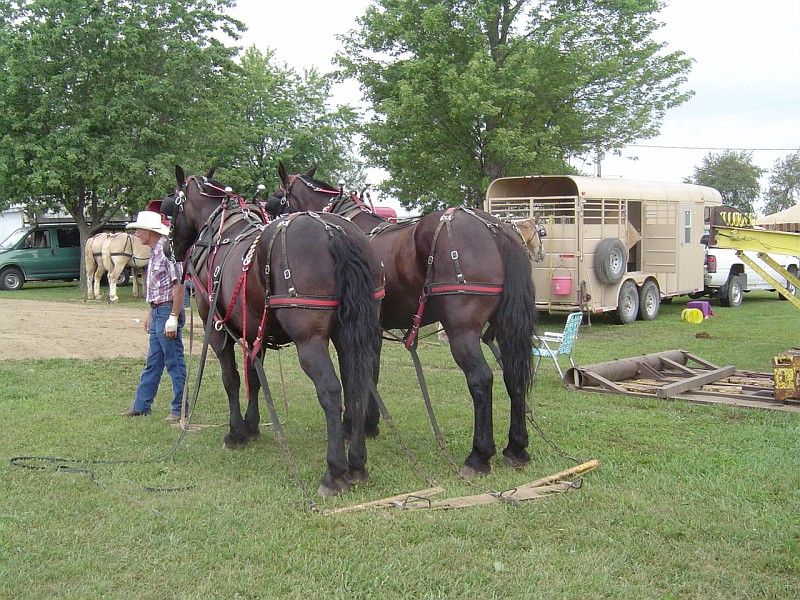 Photo: ThreshersHamiltonIL2003HarrisTeam101 | Harris Pulling Team album | Iowaz iowaz@hotmail ...