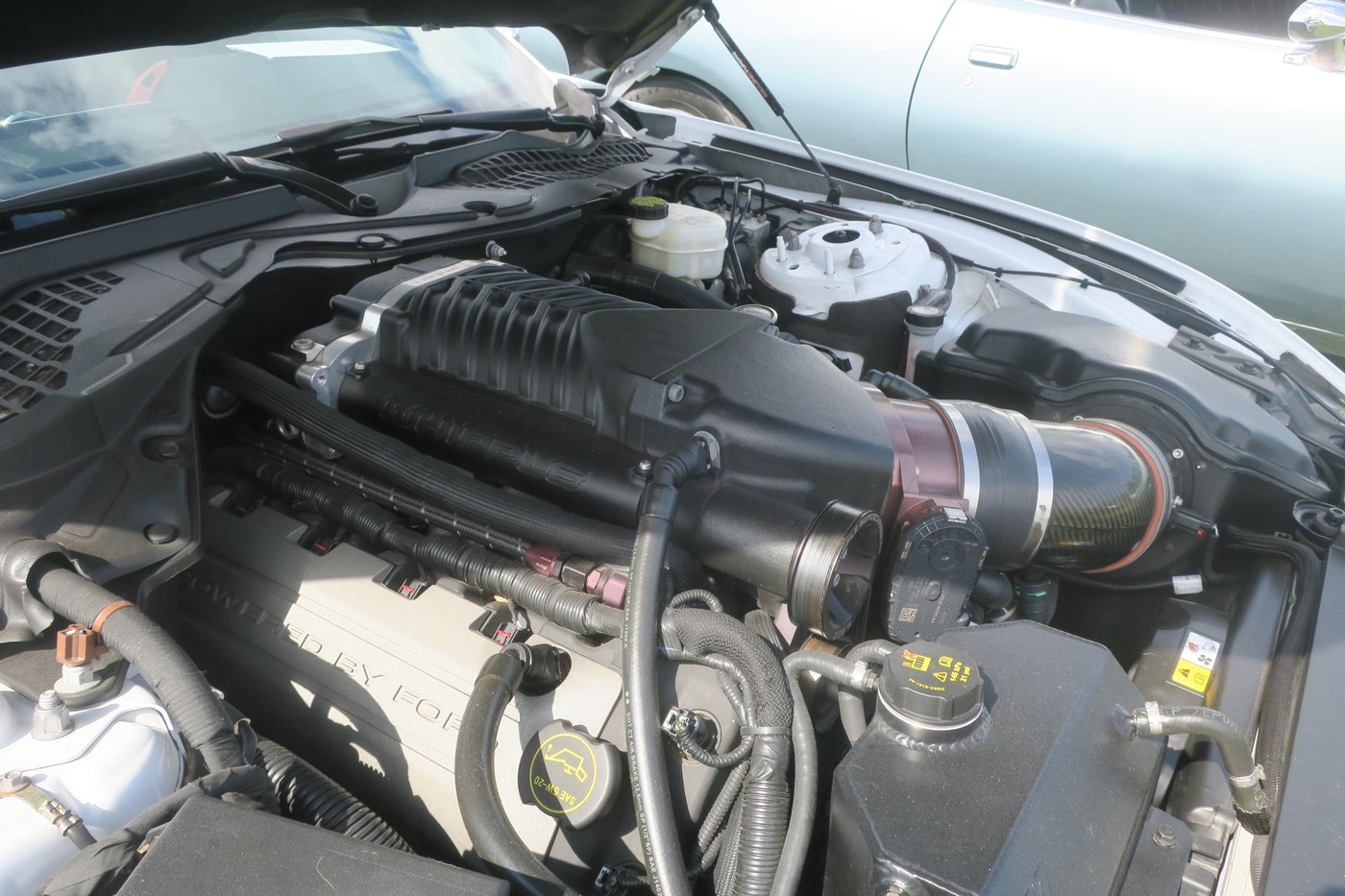 Photo: IMG_2872.JPG | 38th Annual Northern Lights Car Show album | SmallblockAutoPix | Fotki.com ...