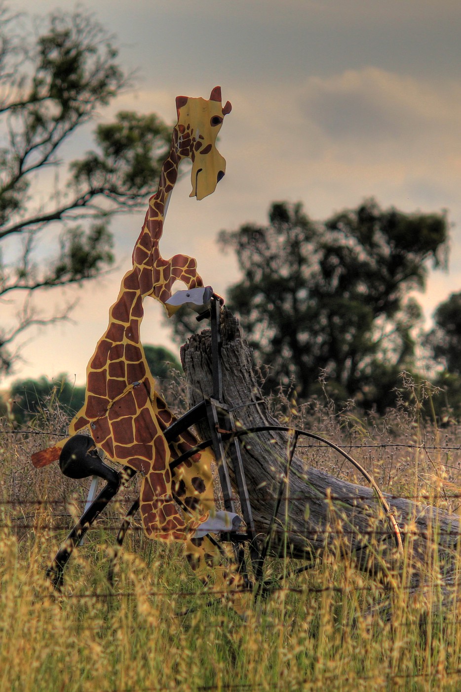 Photo: Animals on Bikes 031 | Animals On Bikes album | ooO(PETER)Ooo ...