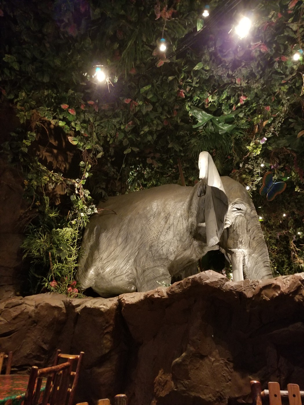 Disney 2021 album | Kos | Fotki.com, photo and video sharing made easy.