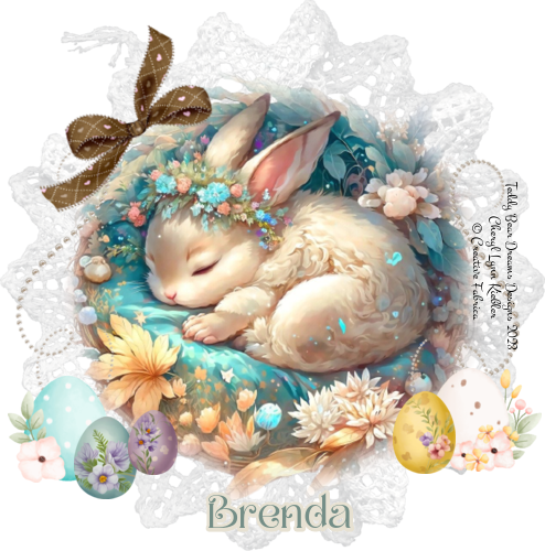 Photo: Sleeping Bunny - Brenda - TBDD 2023 | Sleeping Bunny - Signature ...