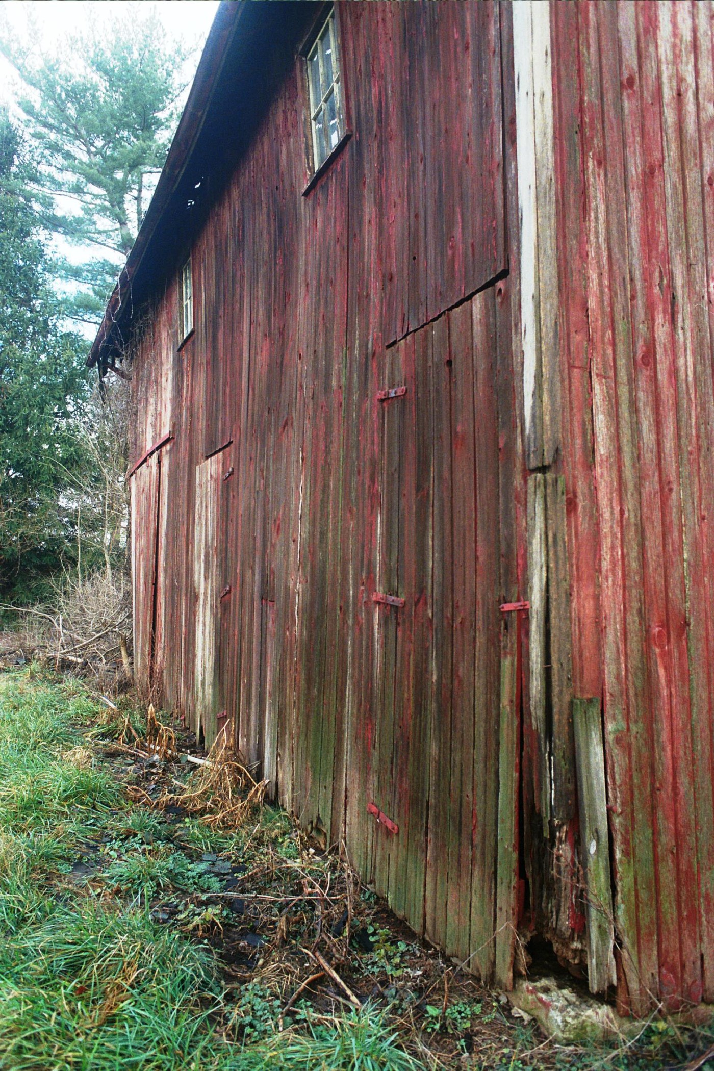 Photo: ---_0646.jpg | Nikon F3 album | Don-Flynn | Fotki.com, photo and ...