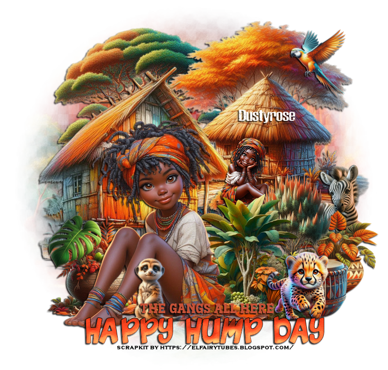 HUMP DAY album | Dustyrose | Fotki.com, photo and video sharing made easy.