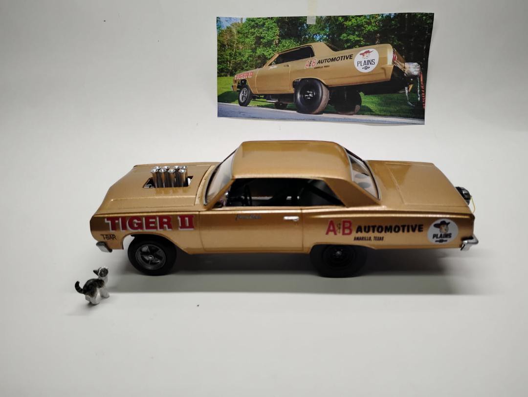 Photo: 64 CHEVELLE TIGER jfif | Frank's 2025 album | NitroMarty | Fotki ...